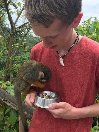 Monkey Land: Una Aventura Inolvidable | Tropicam Royal Tours