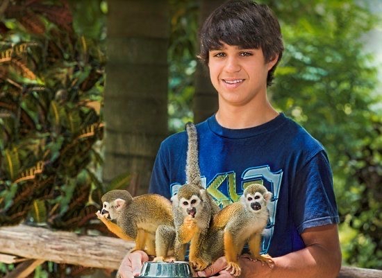 Monkey Land: Una Aventura Inolvidable | Tropicam Royal Tours