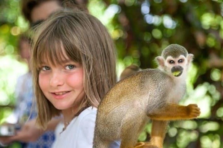 Monkey Land: Una Aventura Inolvidable | Tropicam Royal Tours