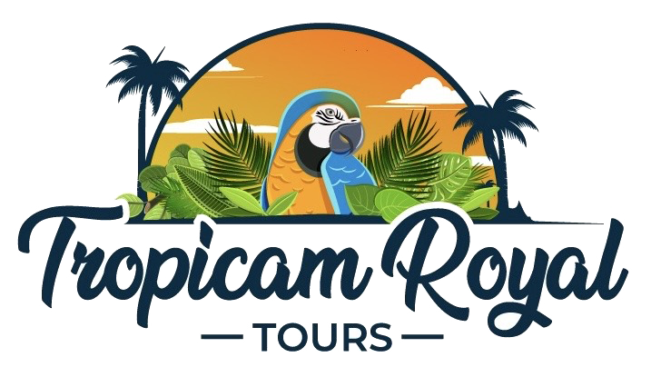 Tropicam Royal Tours | Venta de excusiones inolvidables.